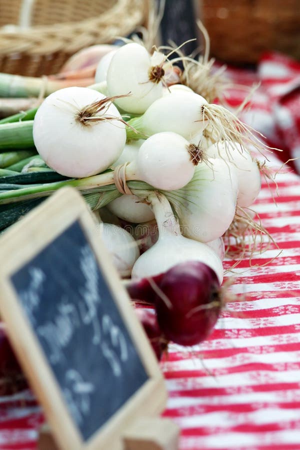 White Onions stock image. Image of cook, vegetable, onion - 21192441