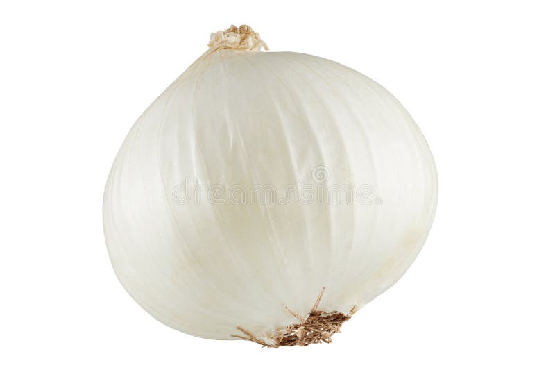 White onions isolated stock photo. Image of food, salad - 152353714