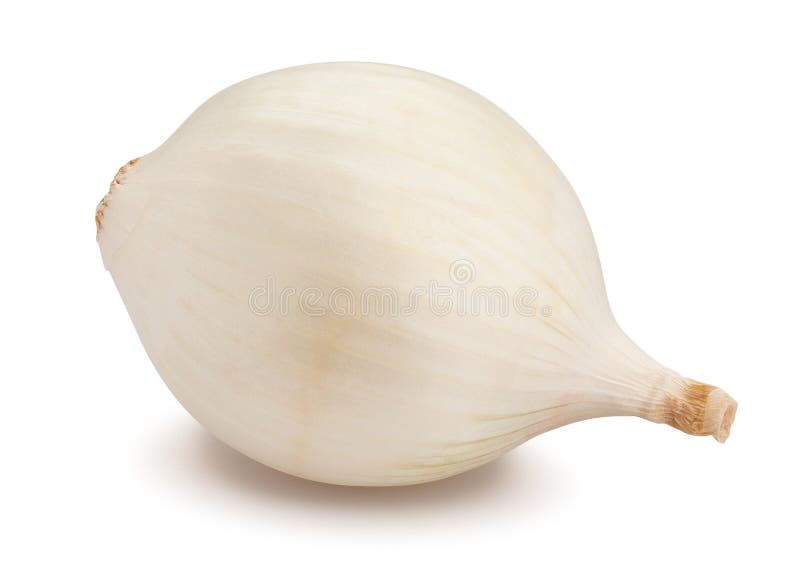 White onions path isolated stock image. Image of vivid - 273375375