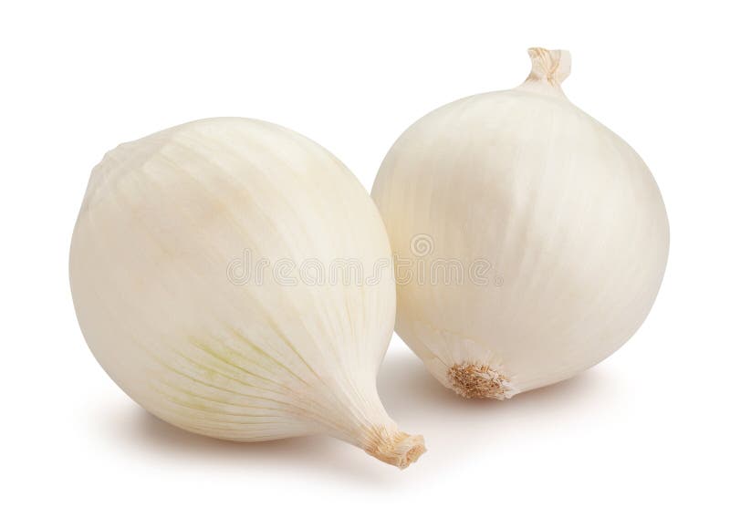 White onions path isolated stock image. Image of closeup - 273375381