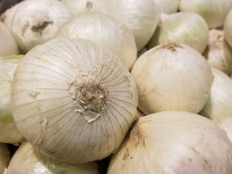 White Onions stock photo. Image of flavor, bulbs, grocery - 112835958
