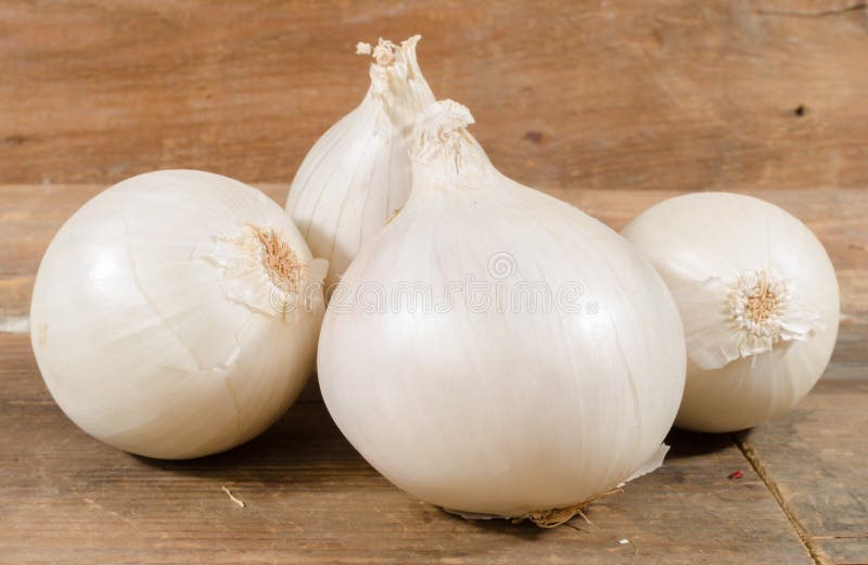 White Onions with Green Stalks Stock Image - Image of green, leaf: 41800009