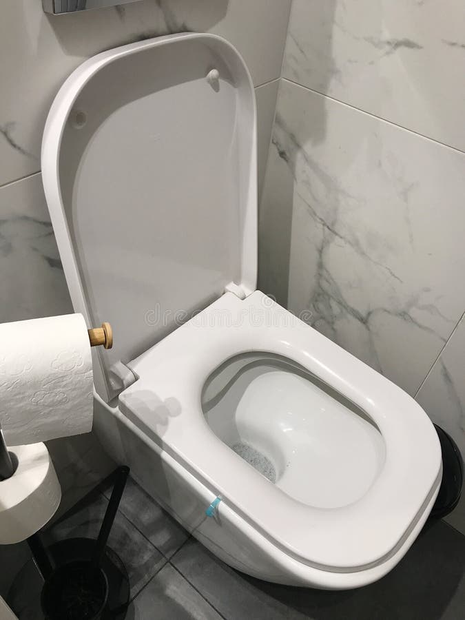 A White Open Toilet is Installed in the Bright Bathroom Stock Photo ...