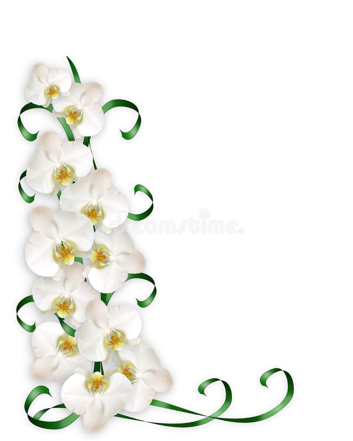 White Orchids Border Wedding Invitation Stock Illustration ...