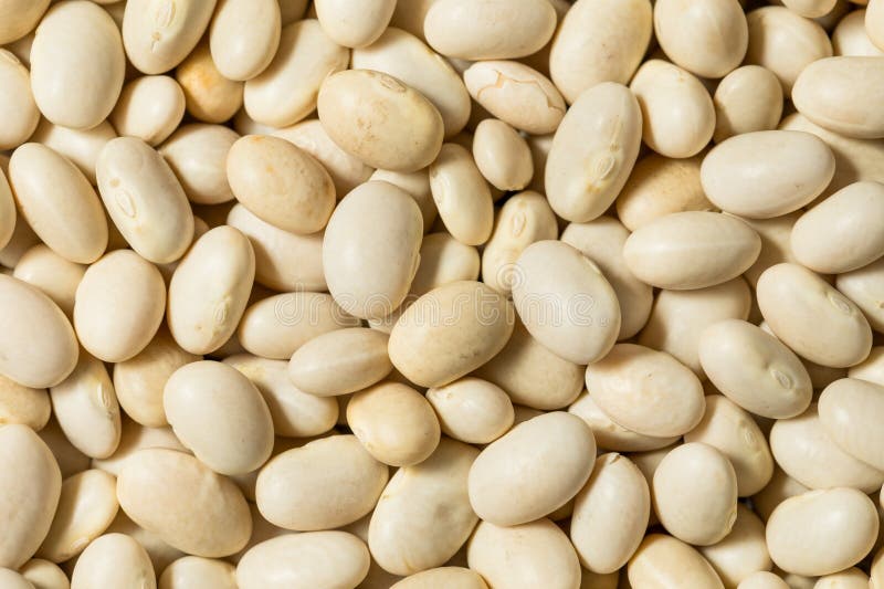 White Organic Raw Navy Beans Stock Photo - Image of uncooked, vitamin ...