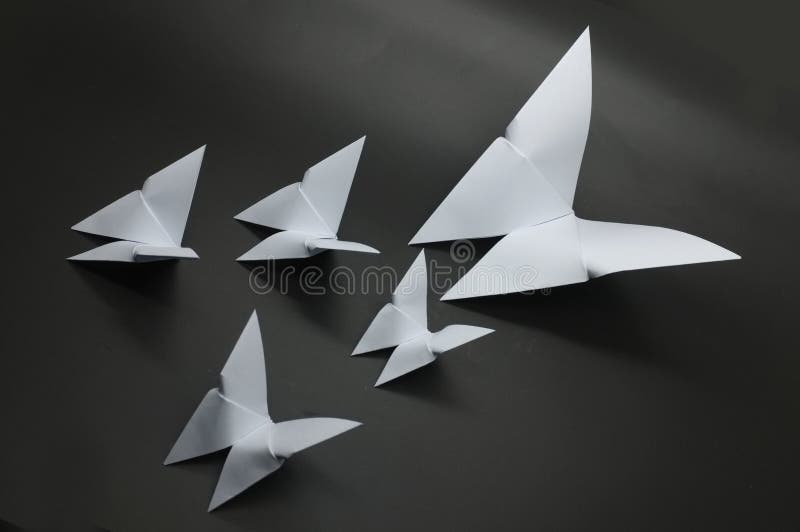 White Origami Butterfly Paper Stock Photo - Image of motion, insect ...