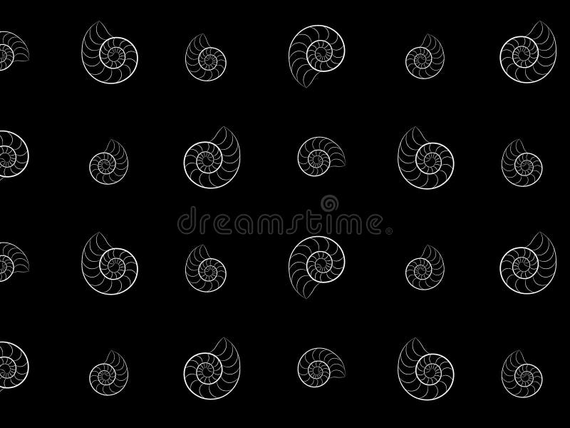Sea Shells Outline Stock Illustrations – 1,699 Sea Shells Outline Stock ...