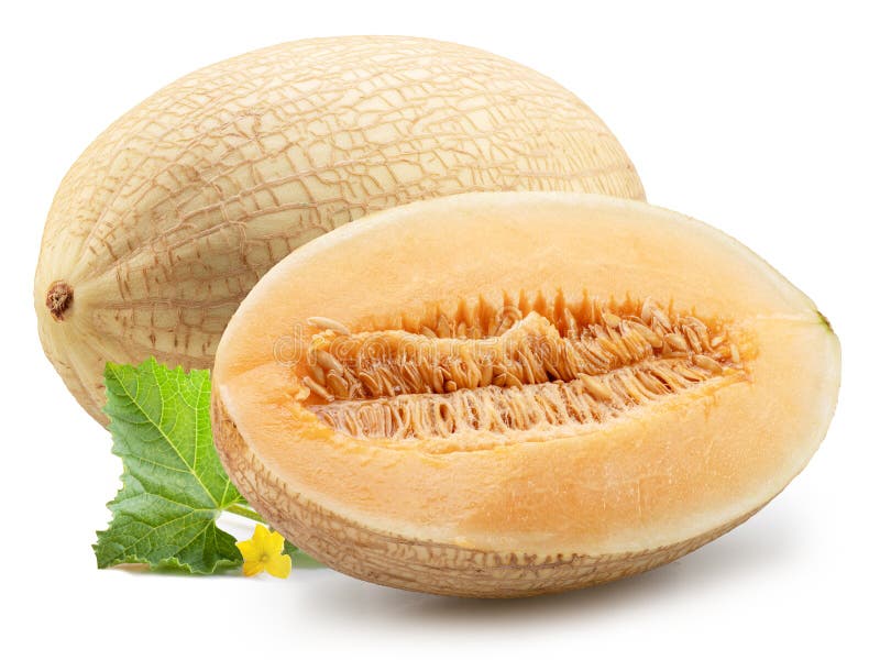1,486 Melon Cross Cut Section Stock Photos - Free & Royalty-Free Stock ...