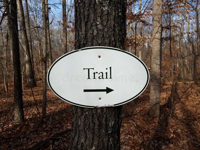 White Oval Trail Sign on Tree in Forest or Woods Stock Photo - Image of ...