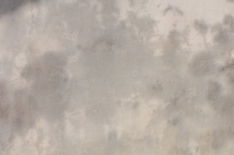 White Painted Concrete Wall, Textured, Empty and Clean. Sunlight Stock ...
