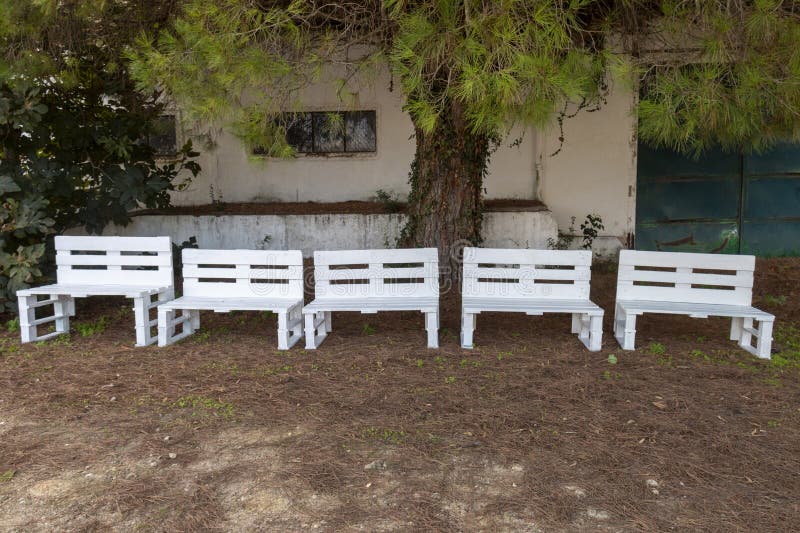 White Painted Wooden Benches Made from Pallets in the Shade of a Huge ...