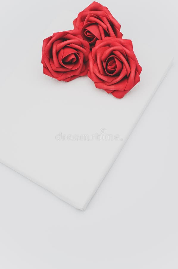 White Painting Canvas with Red Rose Head Top View on White Background ...