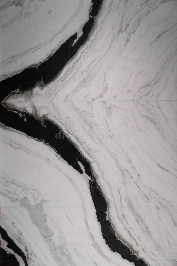 White Panda Natural Marble Texture in Book Match Pattern / Seamless ...