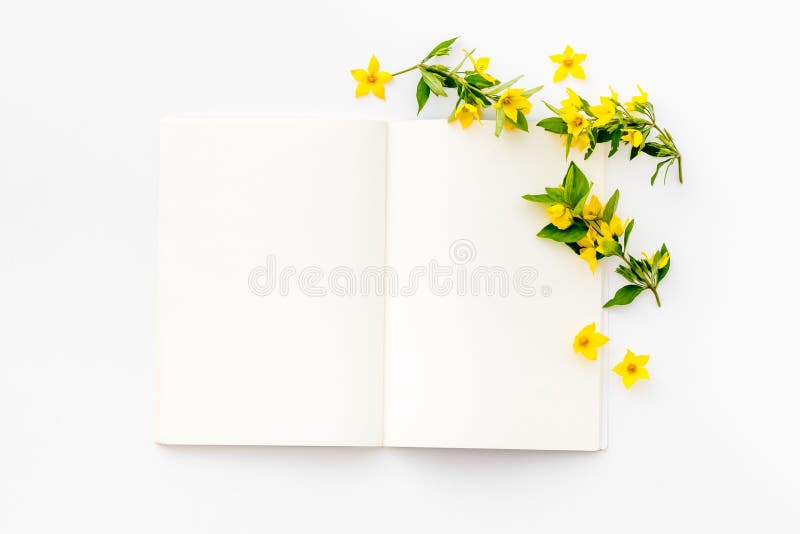 White Paper Blank with Yellow Spring Flowers, Overhead View Stock Photo ...