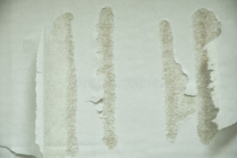 White Paper Box Scratch Background and Texture Stock Image - Image of ...