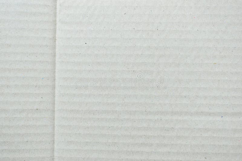 White Cardboard Box Texture