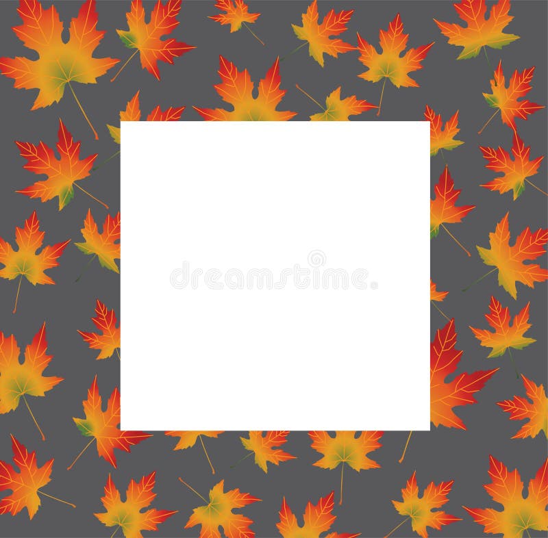 White Paper Card on Autumn Backround Even Maple Leaves Stock ...