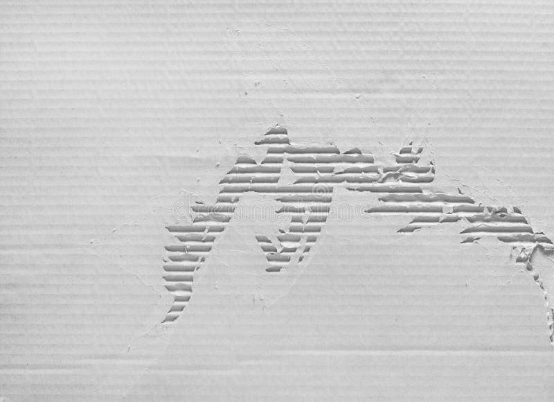 White Paper Card Board Texture Stock Image - Image of large, grunge ...