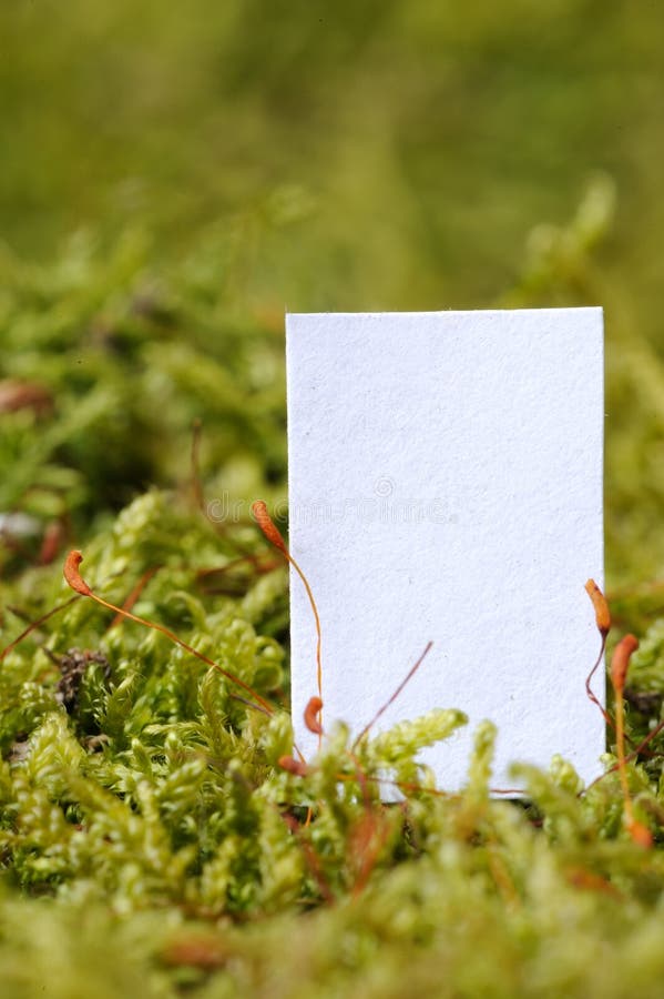 Sikth - Photographer profile