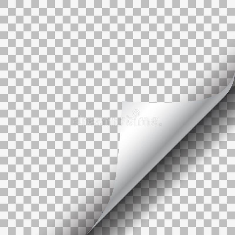 White Paper Corner on Transparent Background. Stock Vector ...