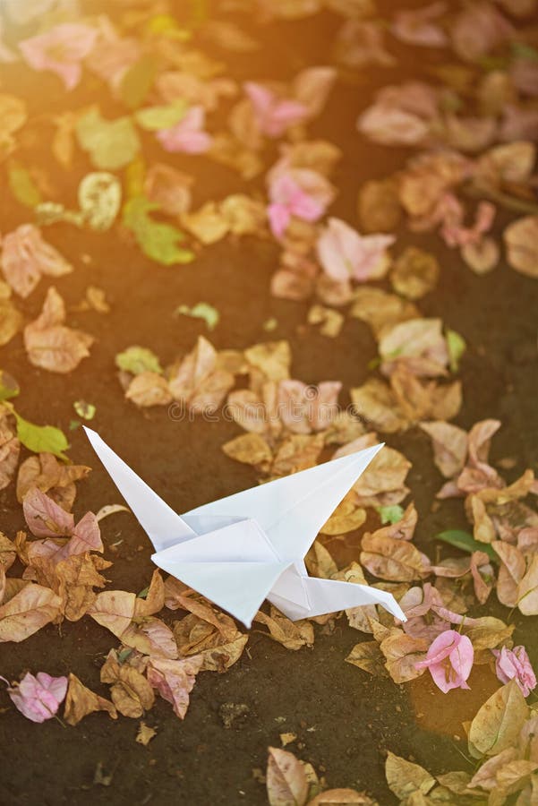 White Paper Crane on Ground Stock Photo - Image of ground, leaf: 78719624