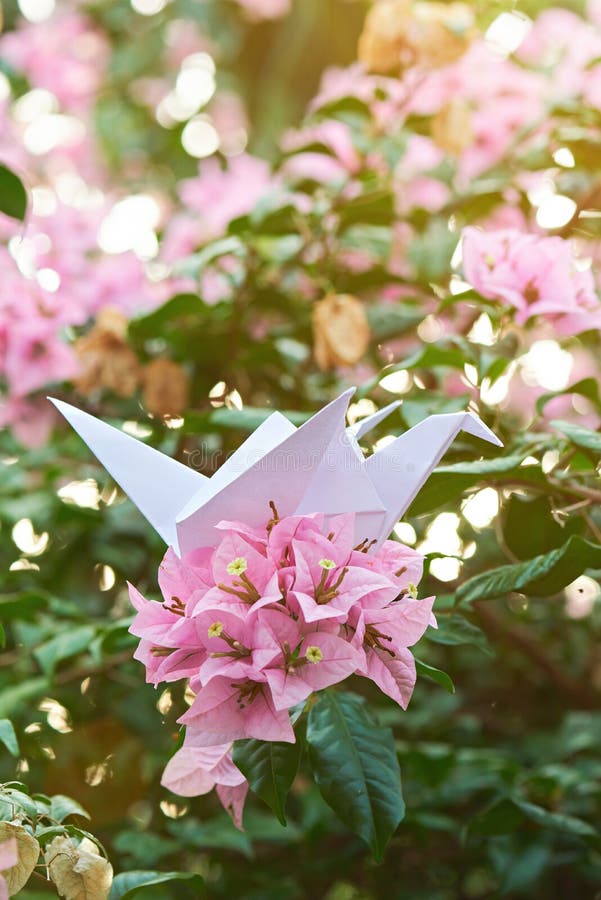 175 Japanese Paper Crane Tree Stock Photos - Free & Royalty-Free Stock ...