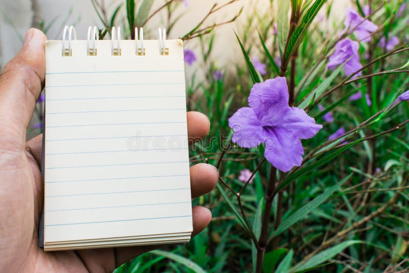 White Paper Flower Backdrop Used for Note Taking. Stock Image - Image ...