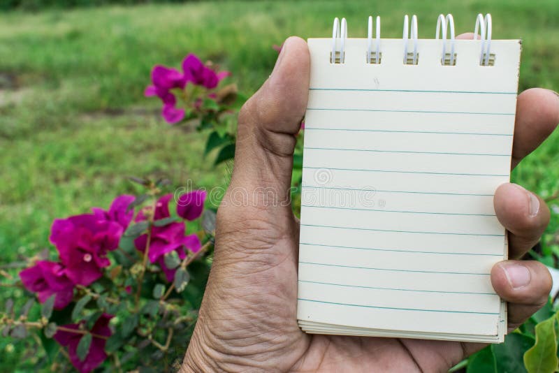 White Paper Flower Backdrop Used for Note Taking. Stock Photo - Image ...