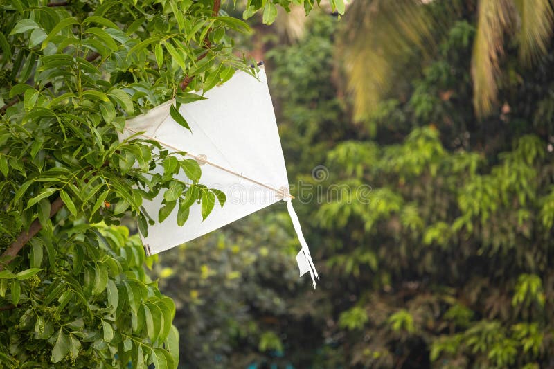 A White Paper Kite Stuck in Tree Branches Stock Image - Image of ...
