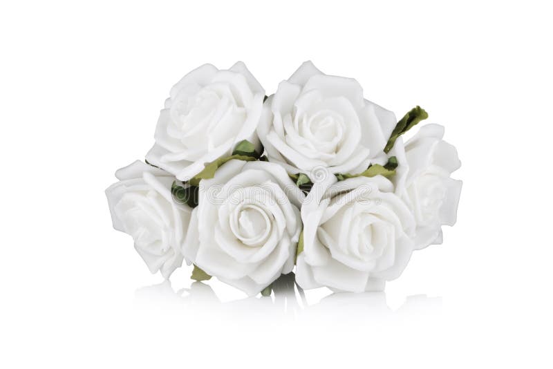 White Paper Roses on White with Reflection Stock Photo - Image of ...
