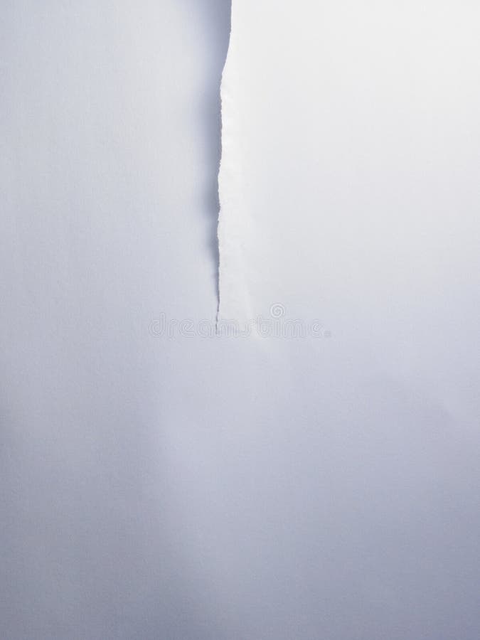 Paper tear to half stock photo. Image of plan, empty - 11398738