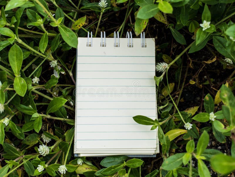 White Paper Tree Backdrop Used for Note Taking. Stock Photo - Image of ...