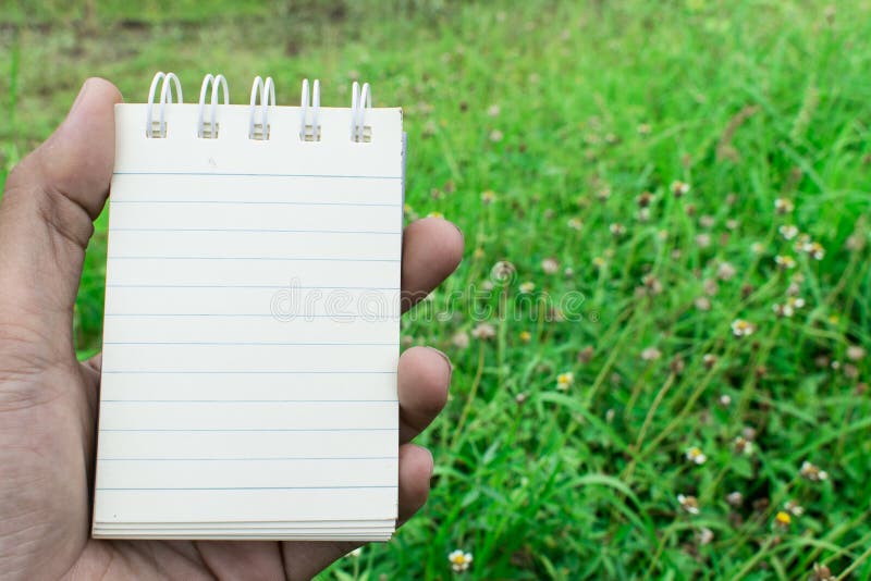 White Paper Tree Backdrop Used for Note Taking. Stock Photo - Image of ...
