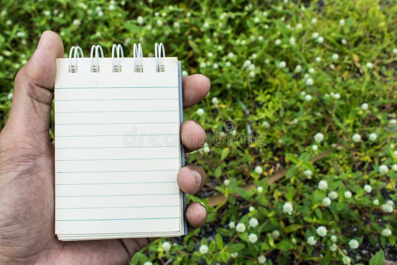 White Paper Tree Backdrop Used for Note Taking. Stock Photo - Image of ...