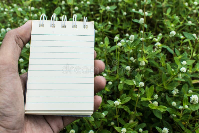 White Paper Tree Backdrop Used for Note Taking. Stock Image - Image of ...