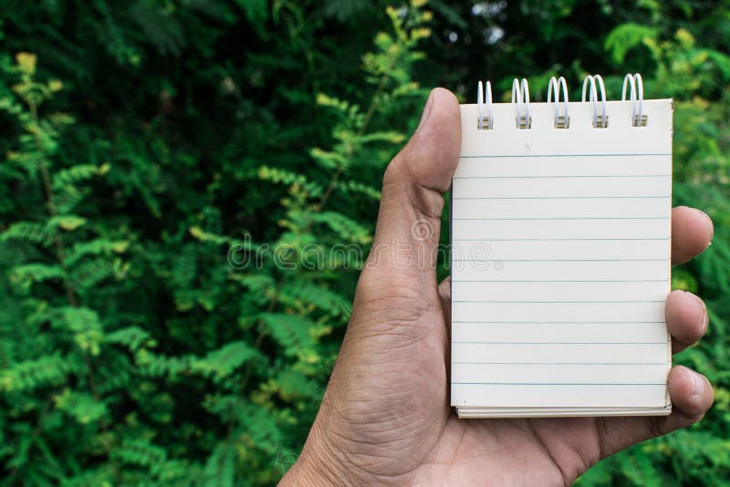 White Paper Tree Backdrop Used for Note Taking. Stock Image - Image of ...