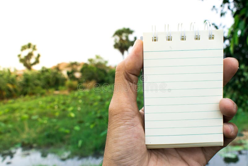 White Paper Tree Backdrop Used for Note Taking. Stock Image - Image of ...