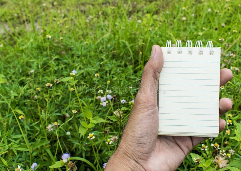 White Paper Tree Backdrop Used for Note Taking. Stock Photo - Image of ...