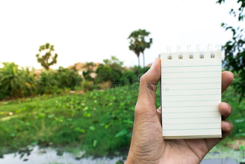 White Paper Tree Backdrop Used for Note Taking. Stock Photo - Image of ...