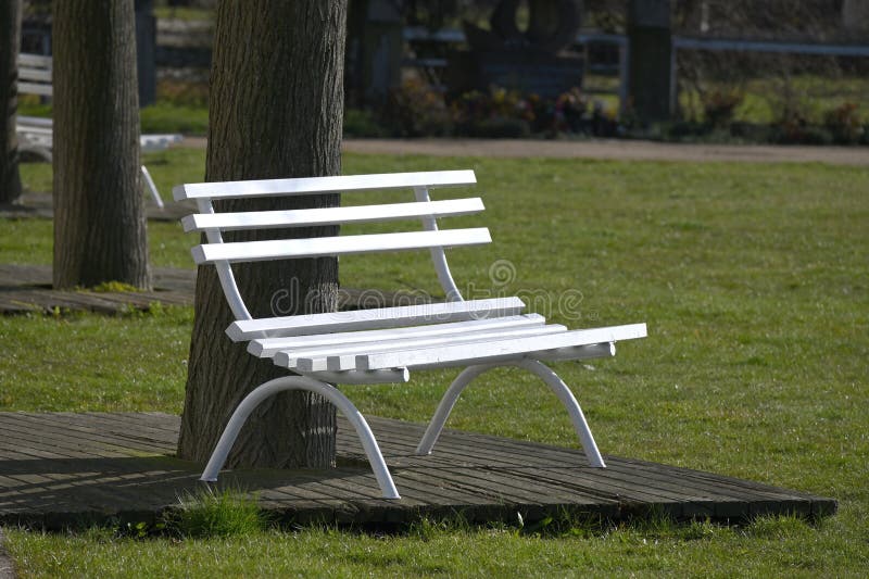 White park bench stock image. Image of scenic, nature - 305670407