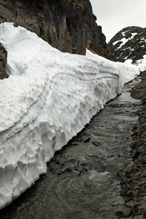 White Pass & Yukon Route stock photo. Image of road, pine - 56991106