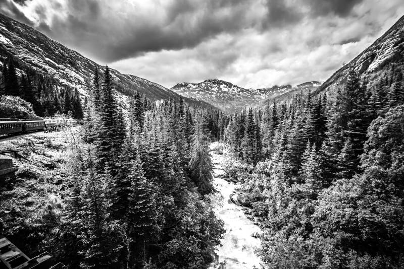 The White Pass and Yukon Route on Train Passing through Vast Lan Stock ...