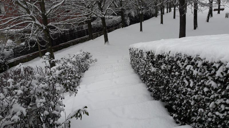 White path stock image. Image of white, trees, path - 111092913