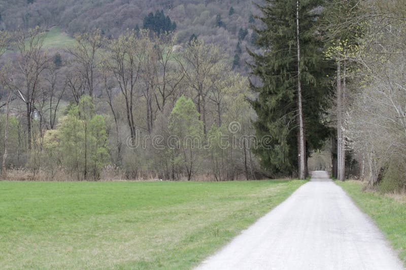 White Path into the Natural Park between Trees and Meadows Stock Photo ...