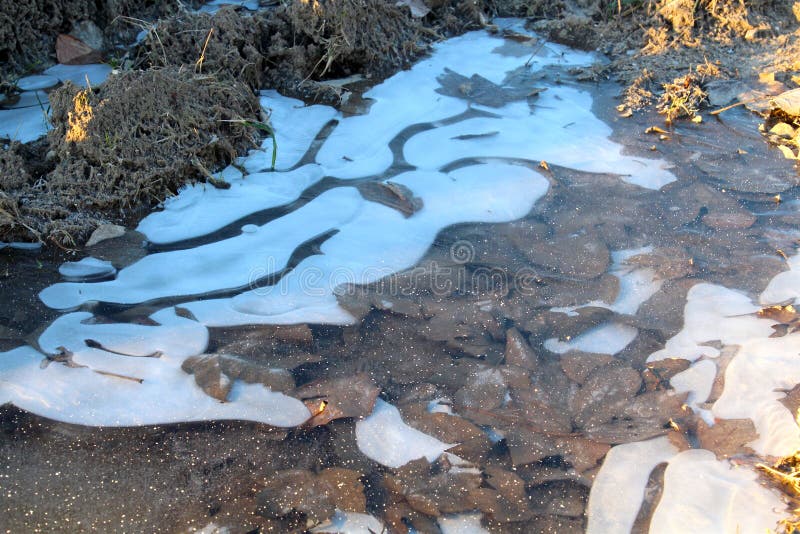 White Pattern in a Frozen Puddle Stock Image - Image of frost, leaves ...