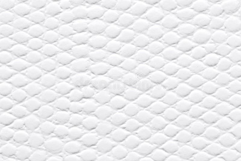 White Patterned Paper Background As Part of Your Interior. Stock Photo ...
