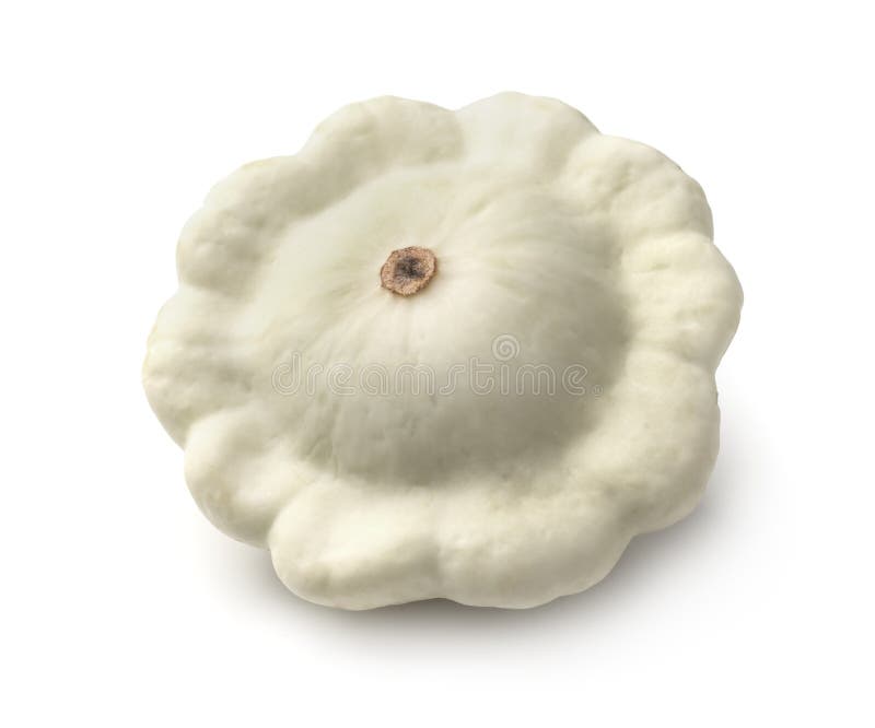 White pattypan squash stock image. Image of ingredient - 82006209