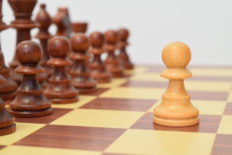 White pawn stock photo. Image of leisure, decision, leader - 94329474