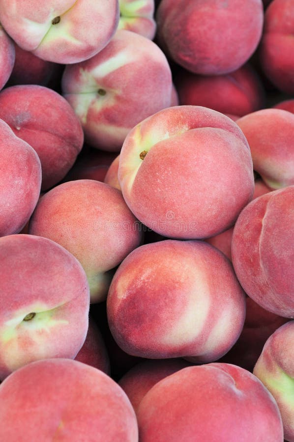 White peaches stock photo. Image of peach, group, horizontal - 10540704