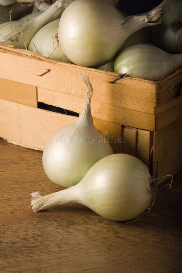 The pearl onion stock photo. Image of tree, produce - 251627558